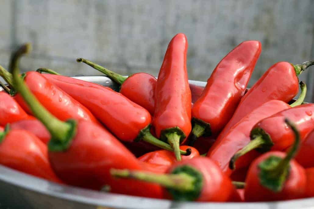 Hot Chili: Scharfes Essen ist gesund - Essen Gesundheit
